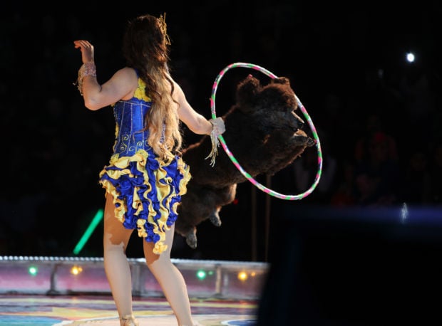 Shrine Circus features animals, 'professional joy instigator'