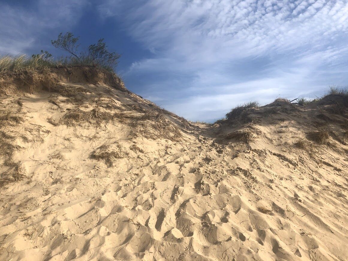 Indiana Dunes to screen Memorial Day film and host hikes and animal ...