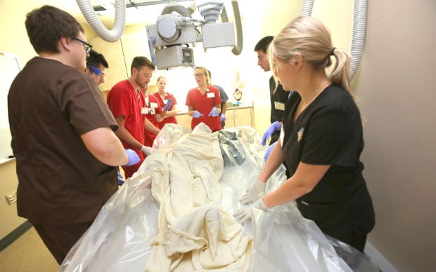 Program puts participants in touch with cadavers