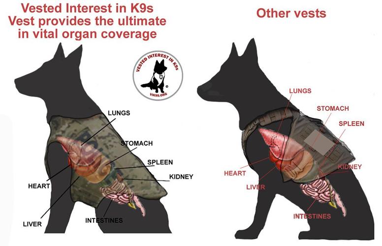 Vested Interest in K9s works to keep 4-legged officers safe