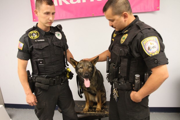 Hobart introduces newest K9 officer