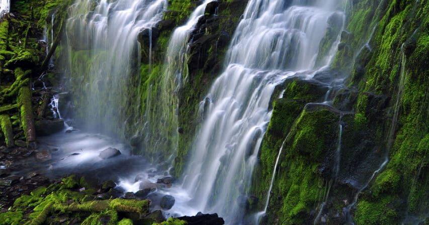 Discovering Waterfalls in Lane County, OR | Archives | nwtravelmag.com