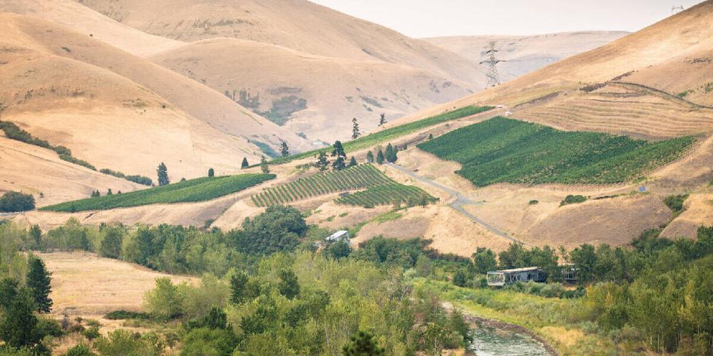 Top 5 Reasons the Lewis-Clark Valley is a Northwest Wine Destination ...