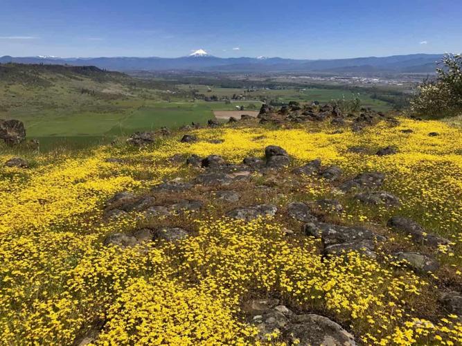 Enjoy springtime outdoors in Grants Pass, Oregon | Features ...