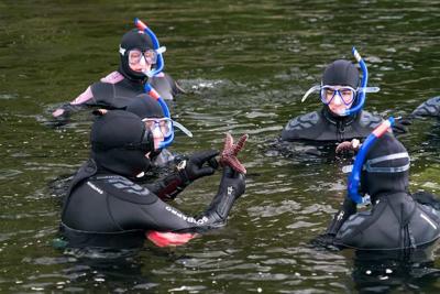 Unexpected Ketchikan, Alaska | Hotels & Retreats | nwtravelmag.com