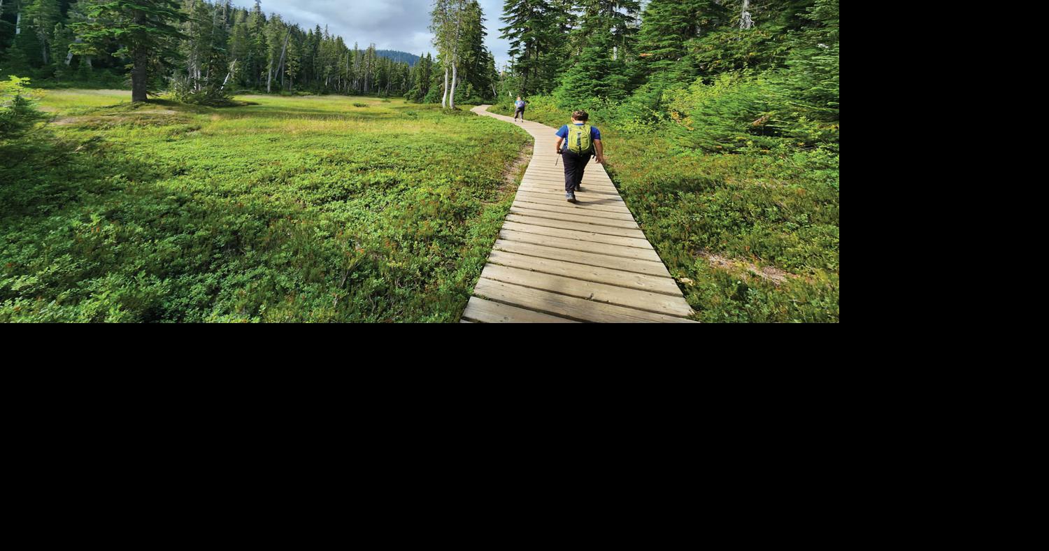 Hiking the Forbidden Plateau, Vancouver Island, BC | British Columbia ...