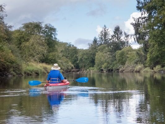Paddler’s Playground: Willapa Bay, WA | Outdoor Adventures ...