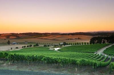 Explore Oregon’s Newest AVA: The Van Duzer Corridor | Archives ...