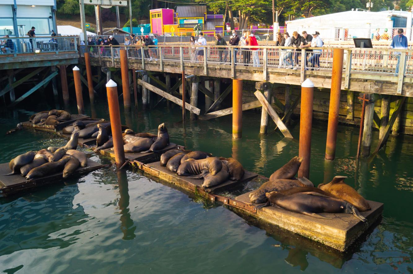 Browsing the Bayfront in Newport, Oregon | City Explorations ...
