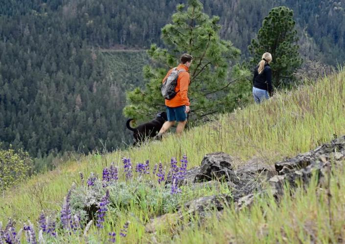 Enjoy springtime outdoors in Grants Pass, Oregon | Features ...