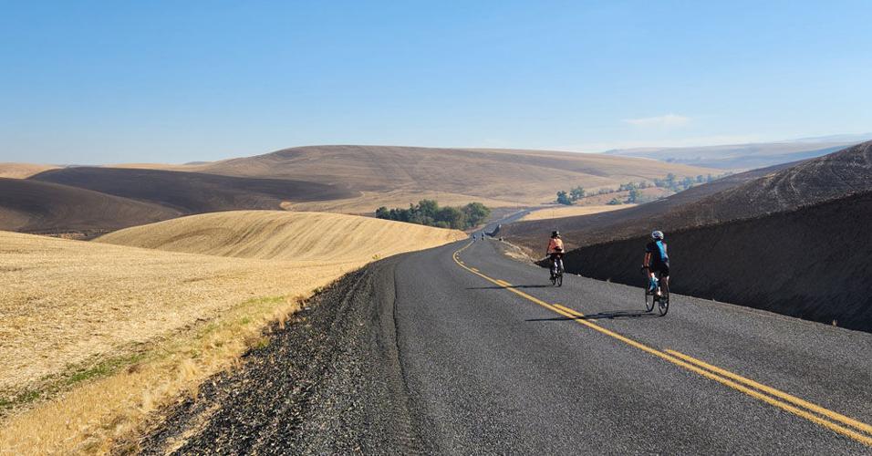 E-biking Washington’s Walla Walla Wine Country | City Explorations | nwtravelmag.com