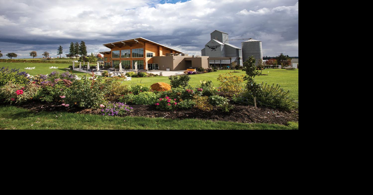 Oregon's B Corp Certified Wineries | Food & Drink | nwtravelmag.com