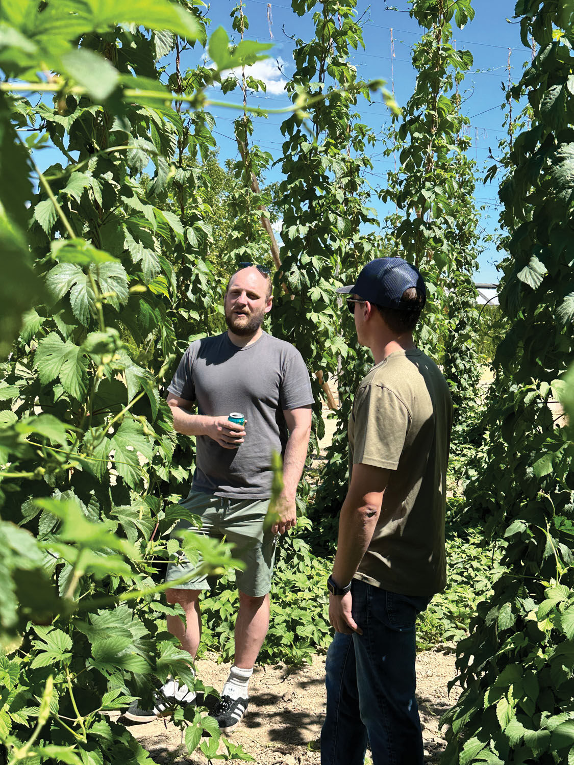 Sensory Tour Explores Hops in Washington’s Yakima Valley | Washington ...