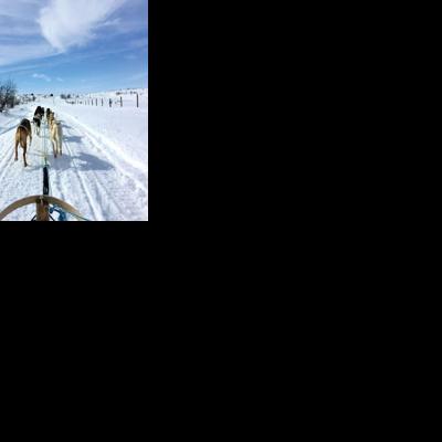 Silver Sage Mushing | Archives | nwtravelmag.com