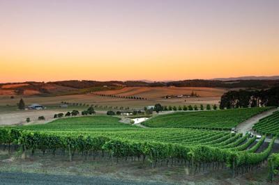 Celebrating Oregon’s Newest AVA | Archives | nwtravelmag.com
