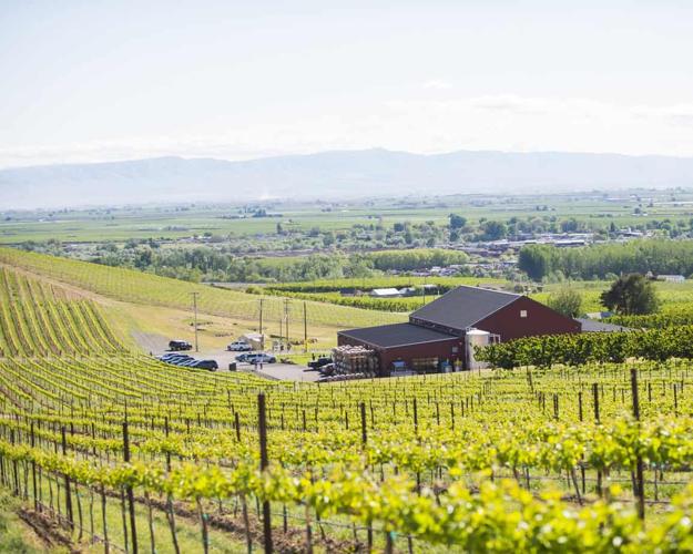 Spring Sipping in Yakima Valley Wine Country | Features | nwtravelmag.com