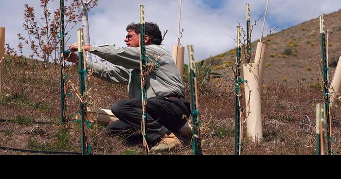 The New Eagle Foothills Wine Region | Archives | nwtravelmag.com