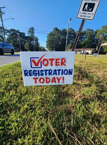 Locals Continue Mobilized Voter Registration Drive in Town | Local ...