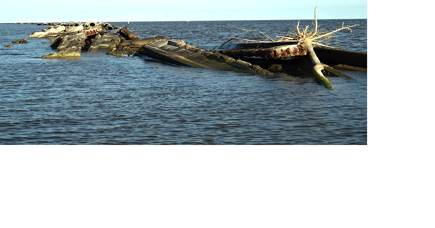 STORMS AND YOU! Hurricane Resources for "Record" Readers ...