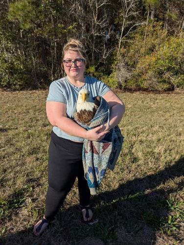 Christmas Day Rescue Brings Two Bald Eagles Off Interstate — One ...