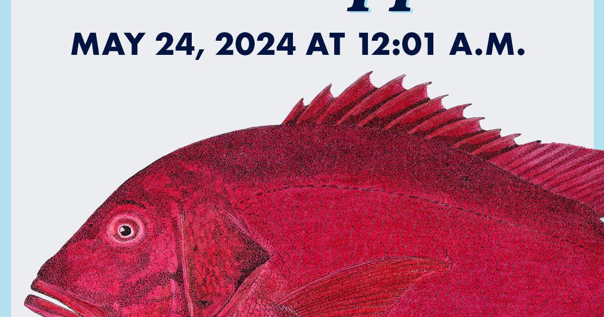 MDMR Announces Mississippi’s Red Snapper Season Opening Dates ...