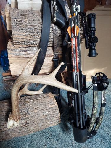 Crossbows vs. compound bows | Sports | oleantimesherald.com Crossbows vs. compound bows | Sports | oleantimesherald.com