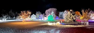 Chamber lighting contest winners revealed | Community | onidawatchman.com