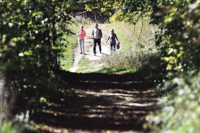 Trail system proposed for the Credit River