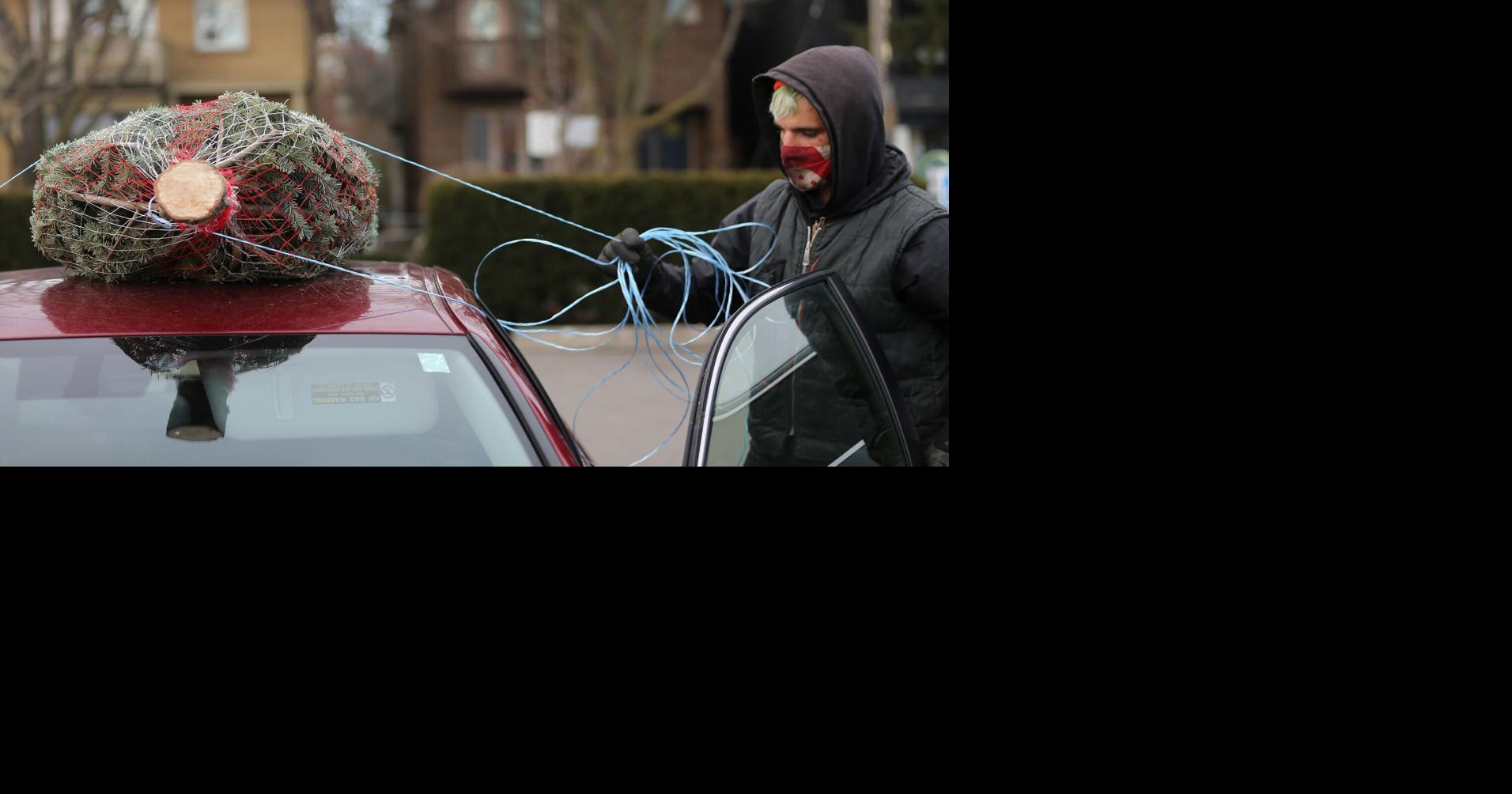 Christmas tree shortage expected to drive up prices — with Balsam firs ...