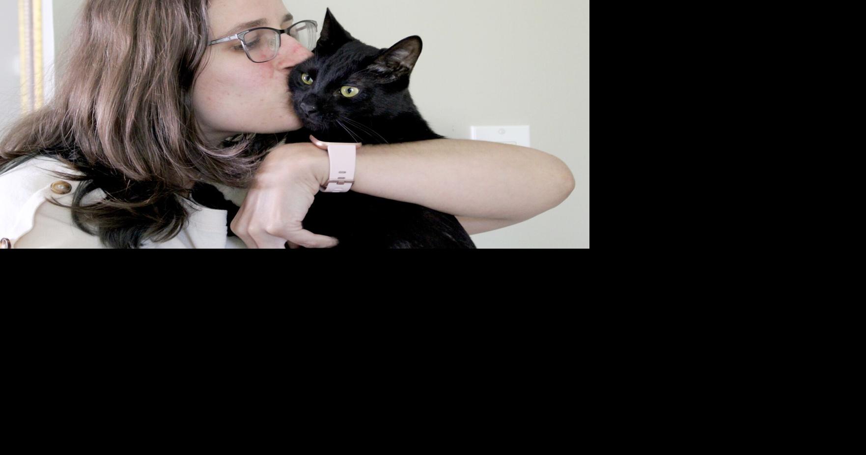 Rare feline viral infection can be treated, Erin cat owner says