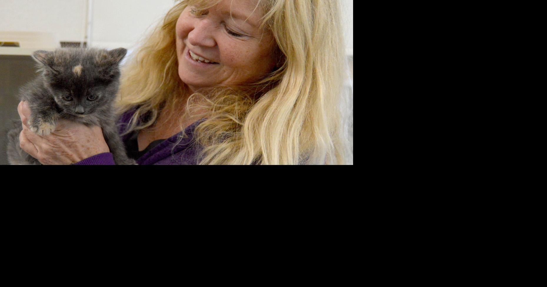 ‘It’s been a bit of a journey’: Feral Cat Rescue building its future in ...