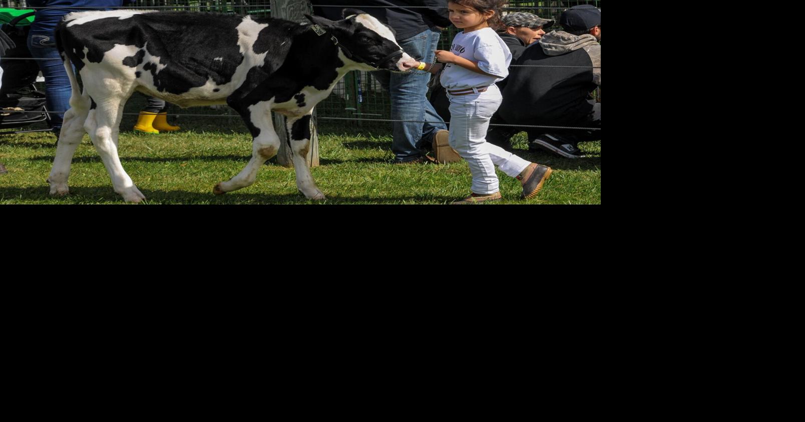Grand Valley Fall Fair starts Friday