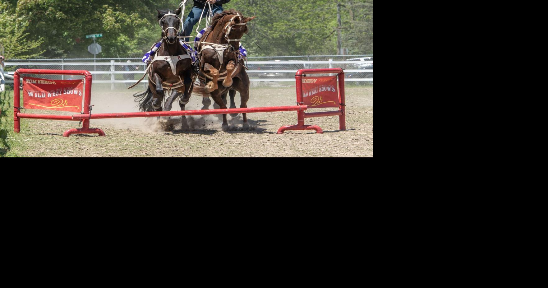 Horse Day at Erin Fairgrounds this Saturday