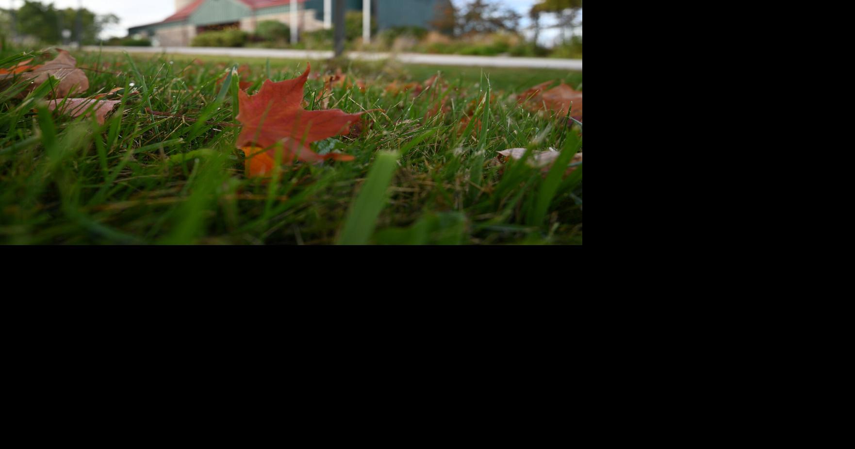 November events at the Museum of Dufferin