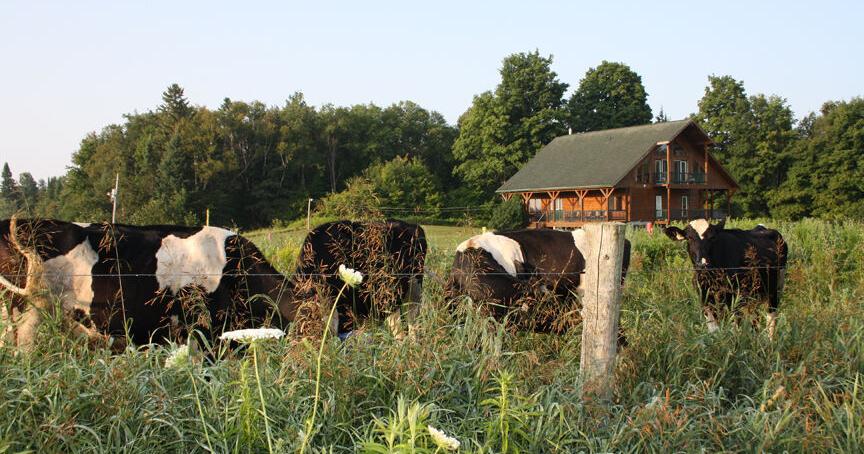 New ecotherapy farm in Dufferin is first of its kind in Canada