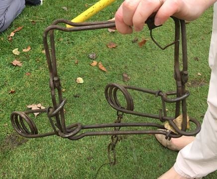 Killed by conibear traps: Province urged to require warning signs be ...