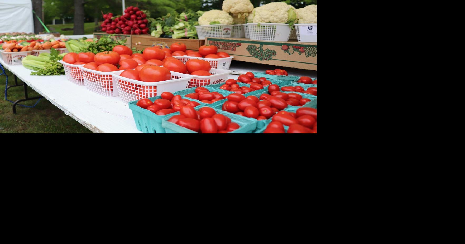 Things to do in Dufferin and area