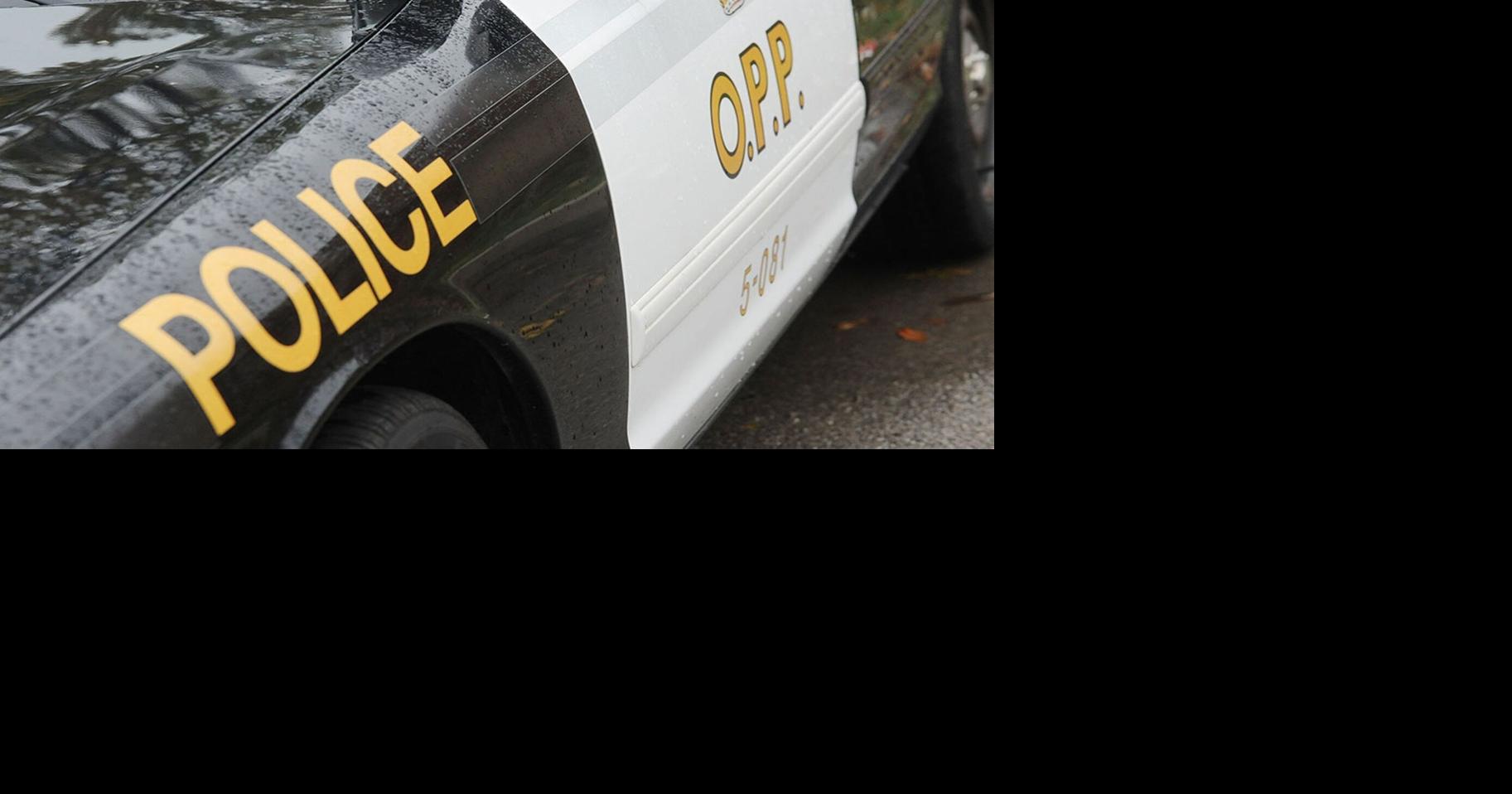 Ontario provincial police recover stolen Melancthon skid steer