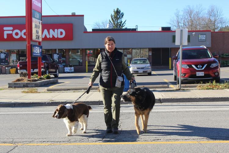 Fatal collisions raise alarm in Erin as holidays approach