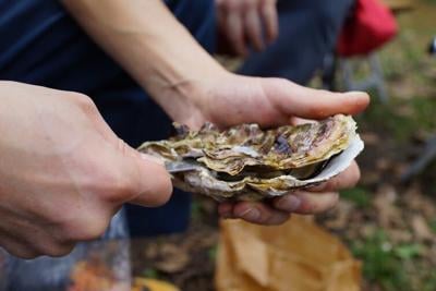 how to cook eat oysters