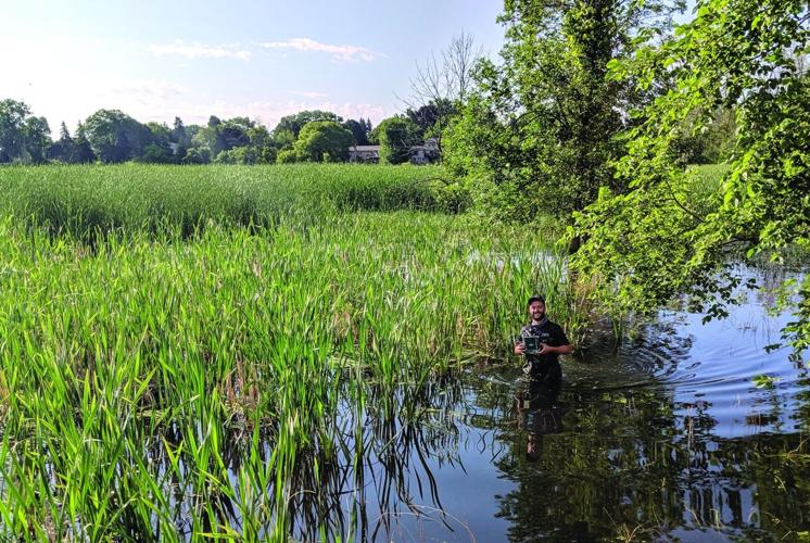 'We’re not treated as a valued partner': CVC says provincial changes ...