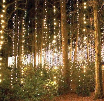 Experience the Miracle at Big Rock | News | osceolasun.com