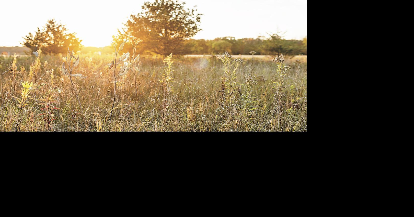 ‘Thriving’: an opportunity to refocus on mental health and community at ...