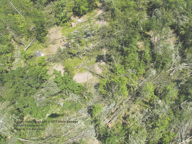 Dry timber creates dangerous conditions at St. Croix ParkDry timber ...