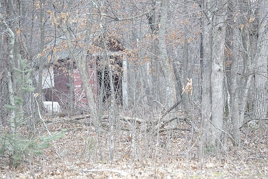 Rural homelessness is a growing unseen crisis | News | osceolasun.com