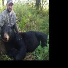 364 LB. BEAR | | osceolasun.com