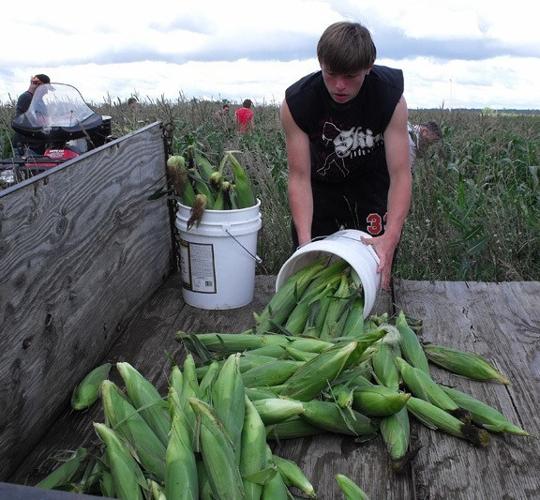 Where does all that corn come from anyway? | | osceolasun.com