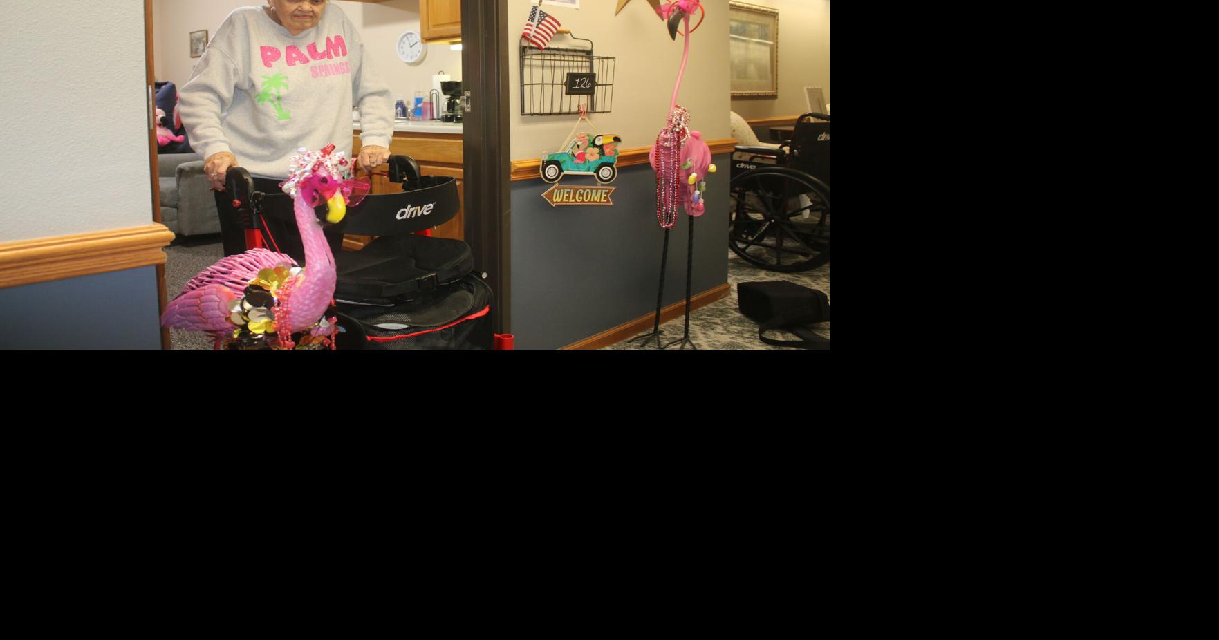 Homestead resident's flamingo collection delights staff, visitors ...