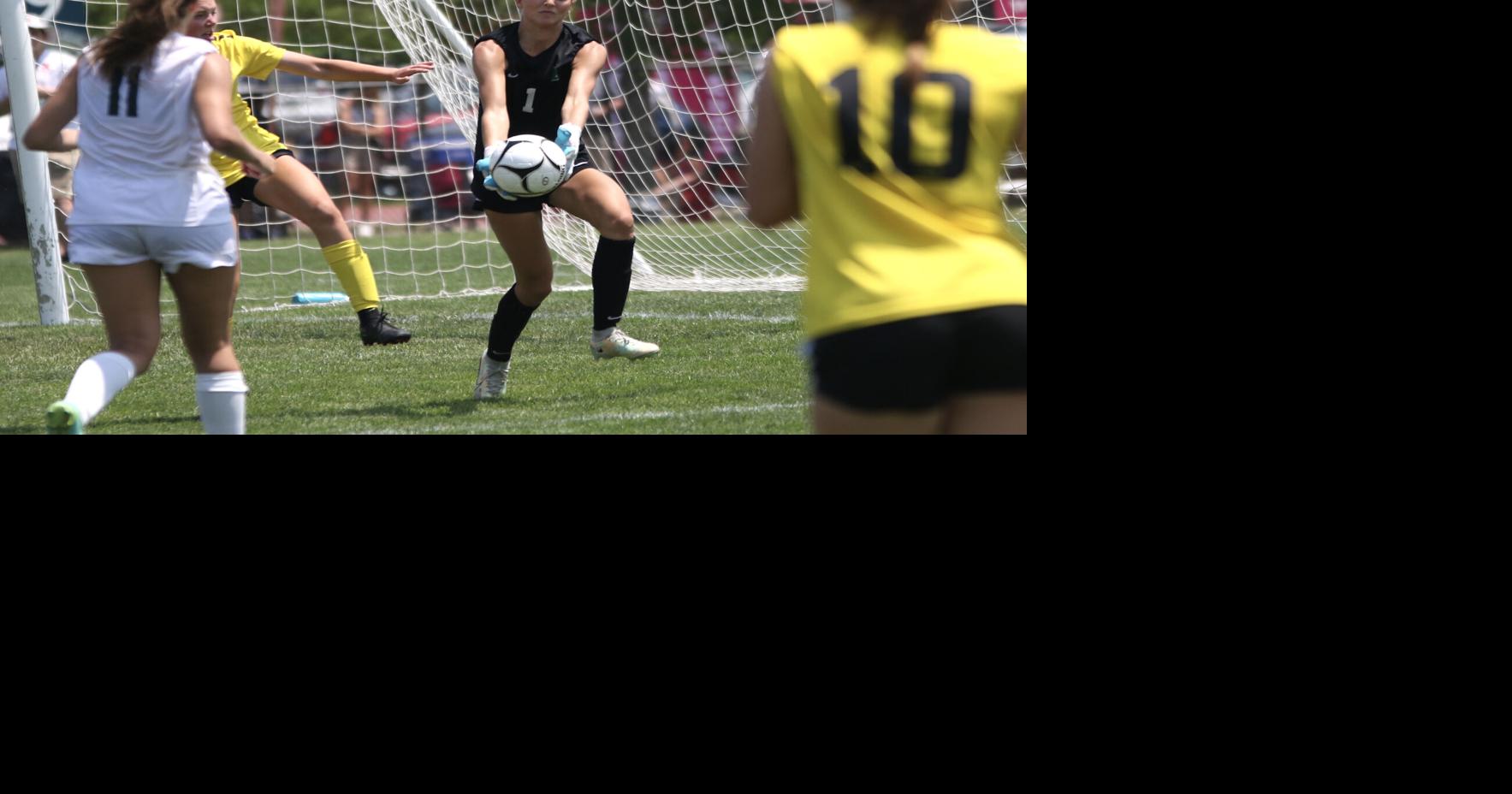 Lady Dutch fall 1-0 in semifinals to Waverly-Shell Rock | Pella ...