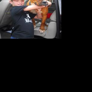 Did boxer named Storm ride Ala. twister? | | oskaloosa.com